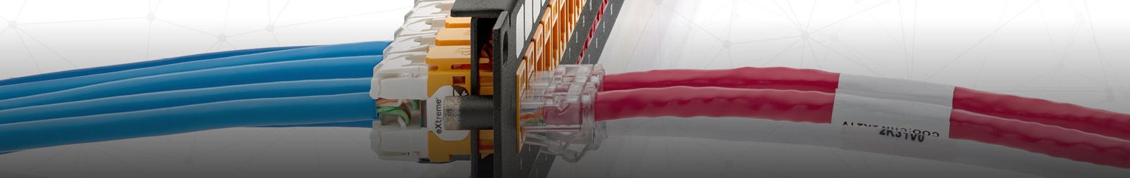EXTREME 6 Cat 6 MILLENNIUM System | Leviton Network Solutions