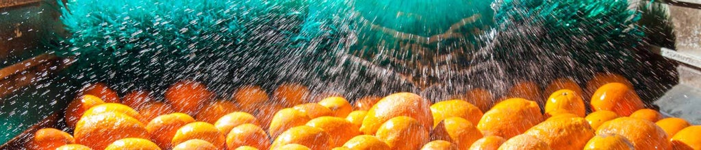 Wet and Damp Locations | Leviton