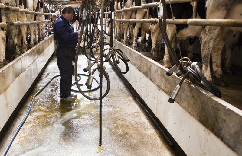 Wet and Damp Locations | Leviton